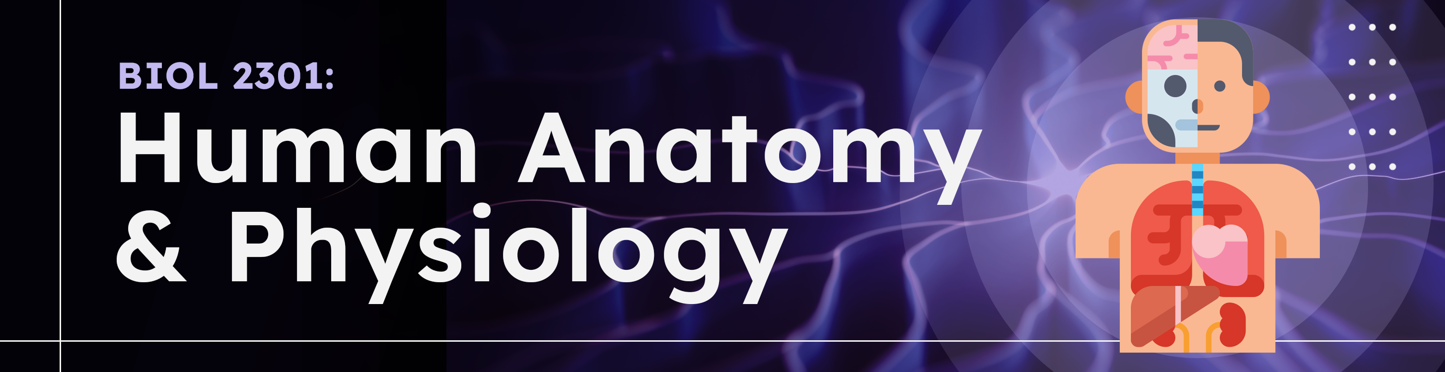 Human Anatomy Physiology BIOL 2301 Course Overview OERTX