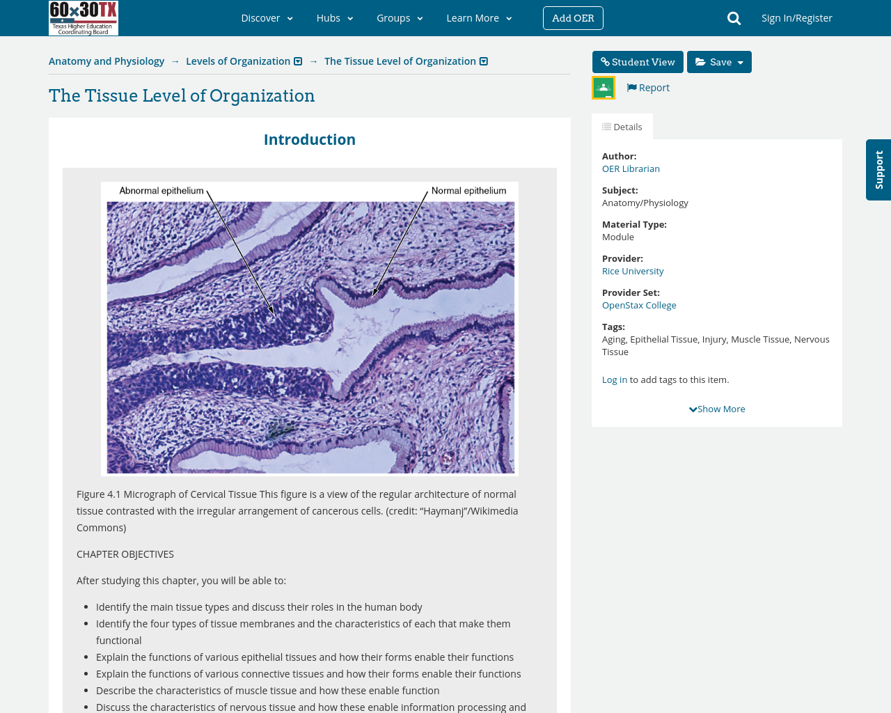 Module 42 Epithelial Tissues Basic Anatomy And Physiology Tissue