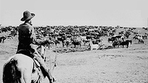 U.S. History, Go West Young Man! Westward Expansion, 1840-1900, Making ...