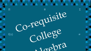 Corequisite Intermediate and College Algebra: Online Curriculum ...