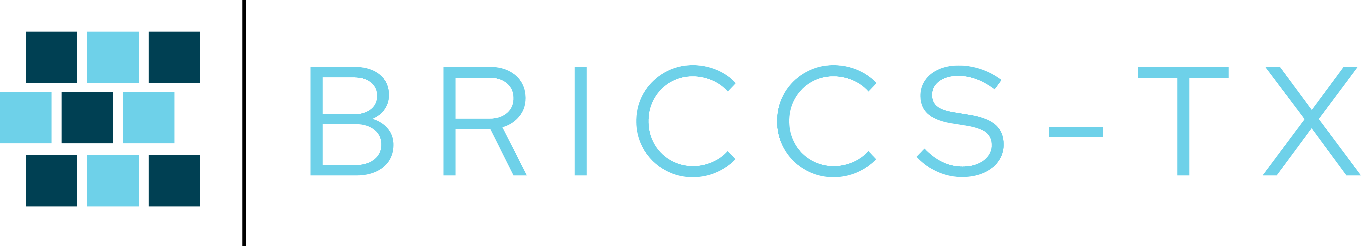 BRICCS-TX (Building Research Innovation Community Colleges in Texas ...